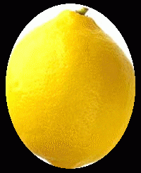 Citron :: Herbář Mirda2